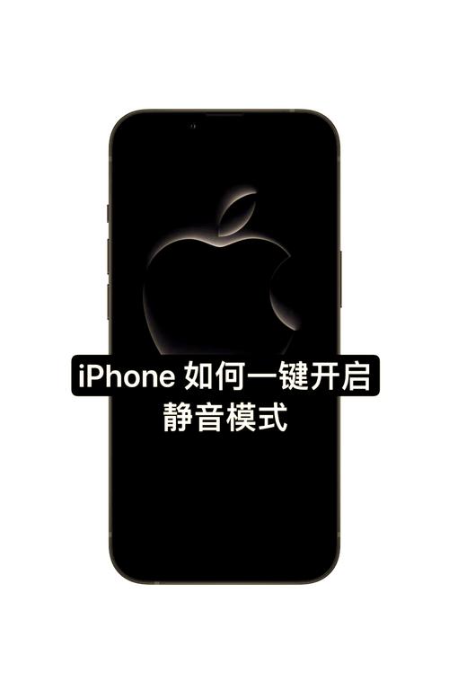 苹果手机静音模式在哪截图