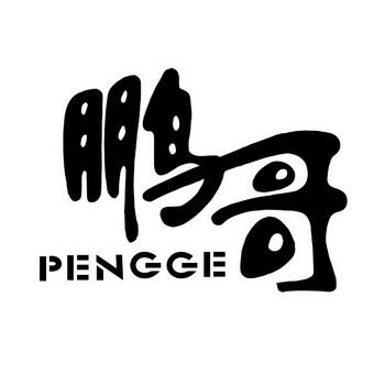 言真鹏哥图标