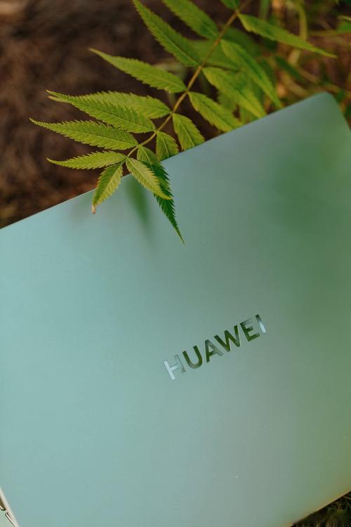 华为matebook142021款无限刷邀请版截图