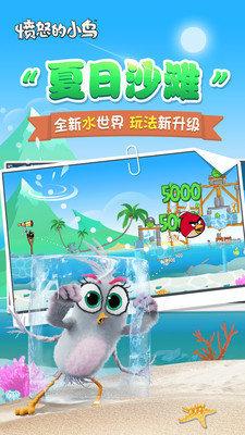 暴怒的小鸟赚钱红包版