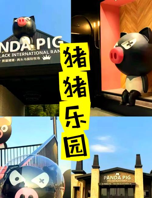 猪猪农场亲子乐园解锁版截图