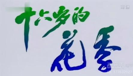16岁的花季清晰版花季截图