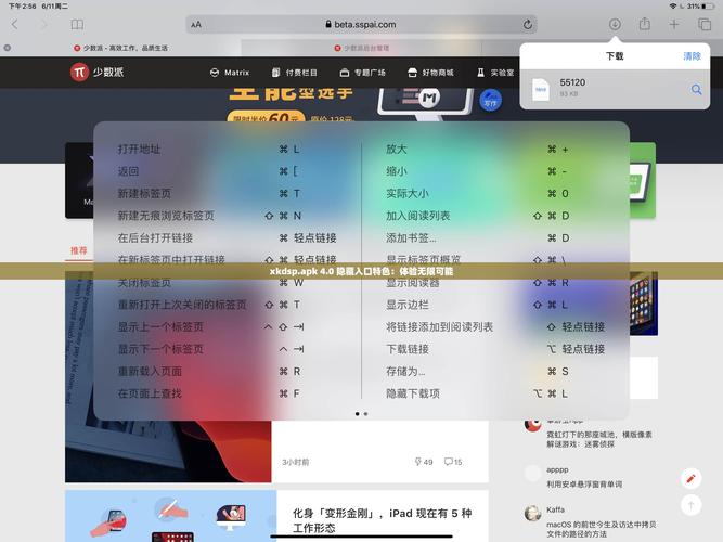 xkdspapk隐藏入口介绍华为版截图