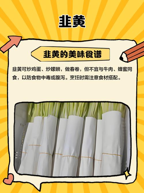 韭黄头条赚钱可靠吗手机版截图