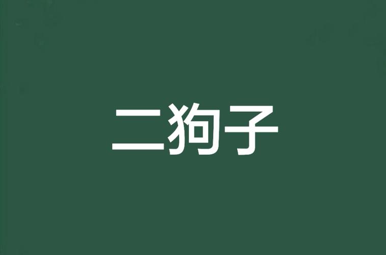 二狗子的春天截图