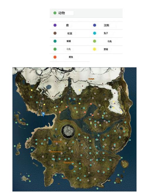 标本森林所有物品位置地图破解版永久免费截图
