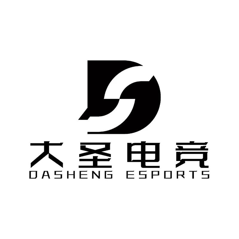 大圣电竞下载安装截图