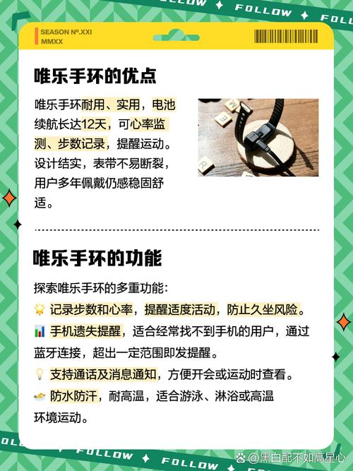 唯乐智能手环app下载图标