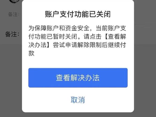 支付功能被关闭多久自动恢复加速永久