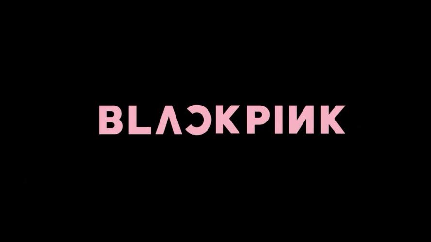 blackpink2025年世巡照片截图