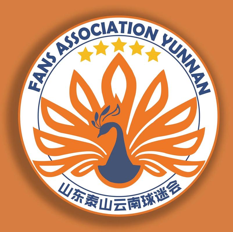 孔雀资讯永久免更新截图