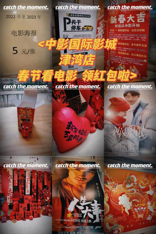 8号电影院免费看电影红包正版图标