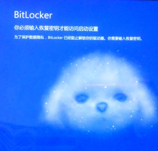 bitdefender密钥