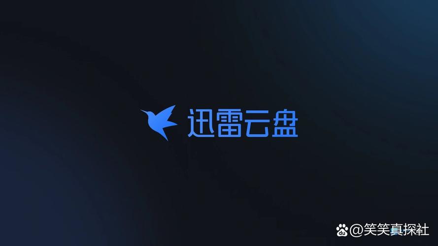 迅雷vip云盘正式版截图