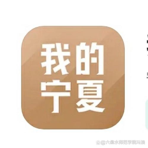 我的宁夏免费安装图标