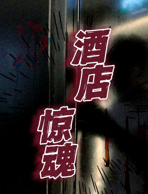 酒店惊魂8详细图文攻略第五天黑色老版