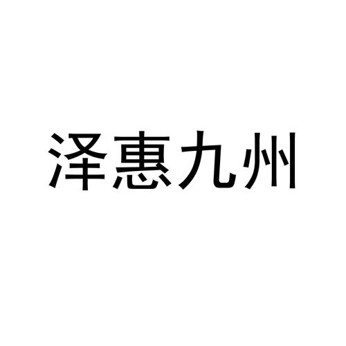 惠九州破解