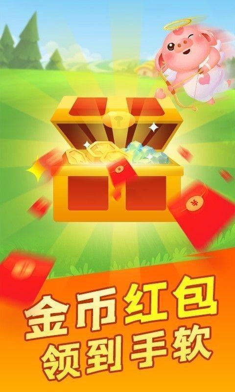 疯狂养猪场红包版光环加速版图标