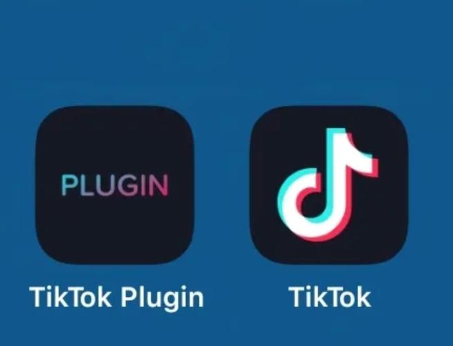 海外tiktok官方入口图标