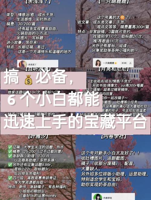 新手作家去哪里投稿好