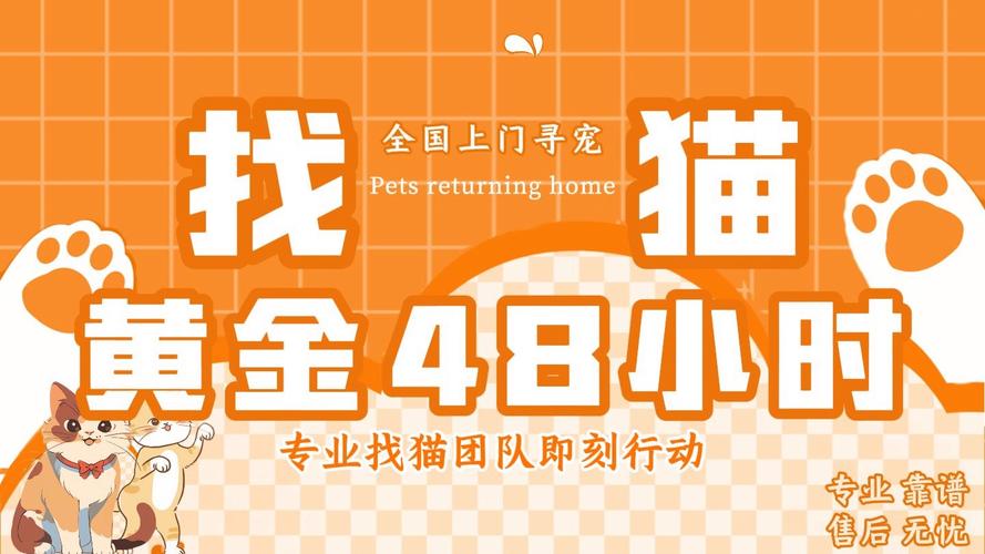 附近找猫团队图标