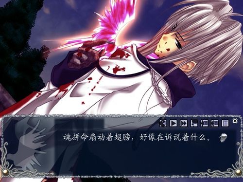 神無ノ鳥神无之鸟简体中文汉化版赚钱版