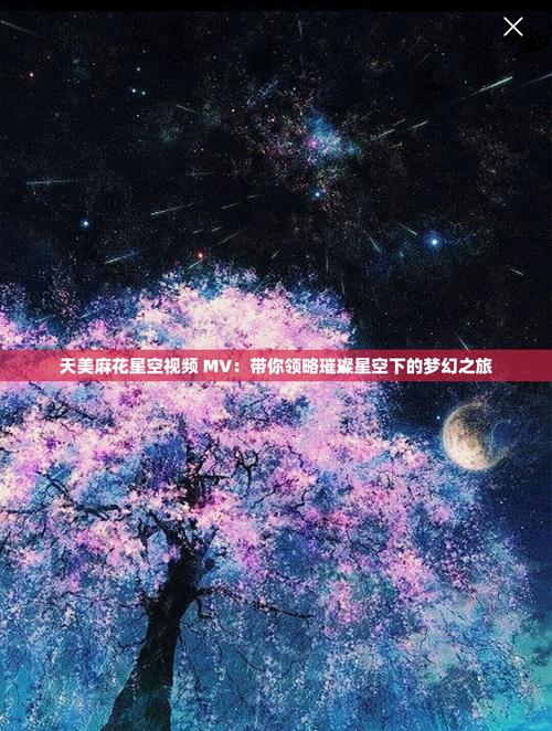 麻花星空mv和天美mv的区别破解无限配额图标