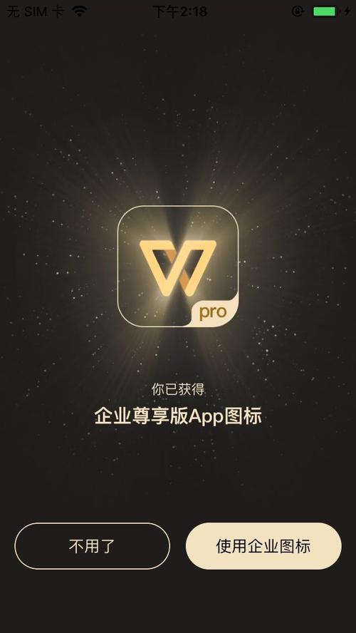 黑金步数正版截图