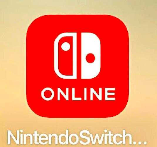 switch破解版可以本地联机吗图标
