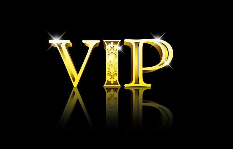 logo设计字体设计永久vip版截图
