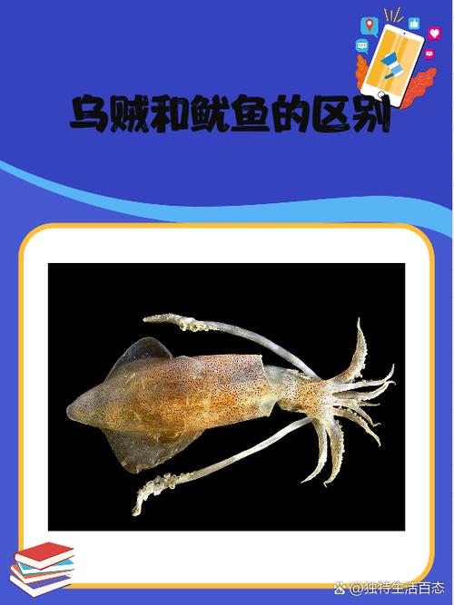 鱿鱼的墨汁对人体有害吗永久vip截图