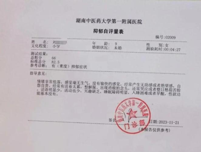 抑郁症检查报告生成器图标