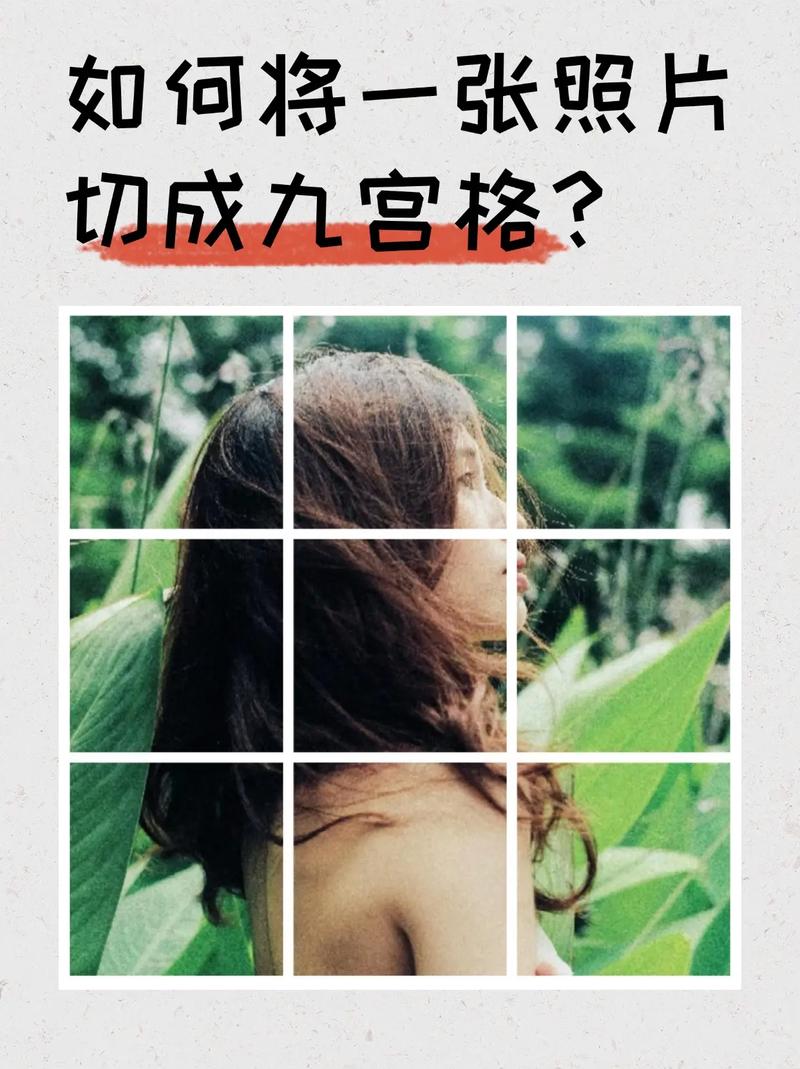 相片九宫格怎么制作绿色版截图