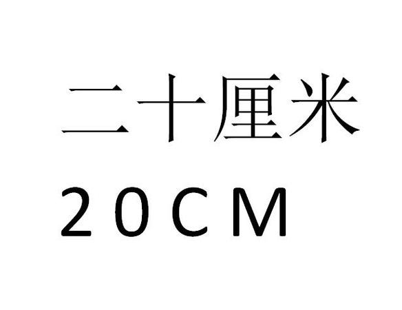 20cm20cm参照物图片去广告安卓版图标