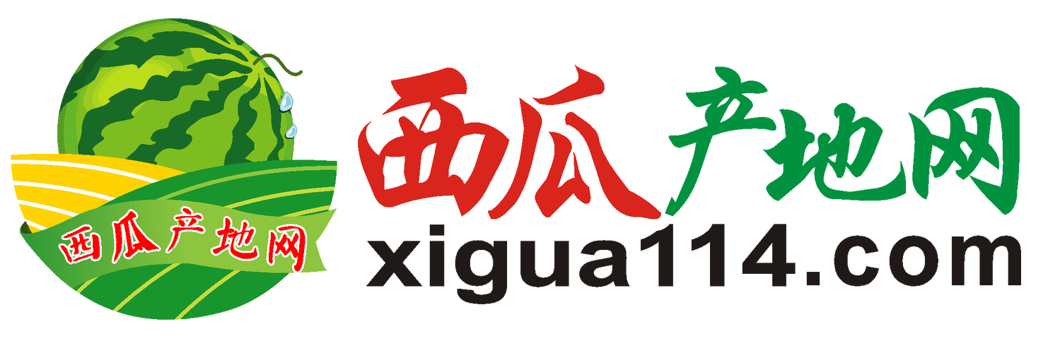 西瓜网
