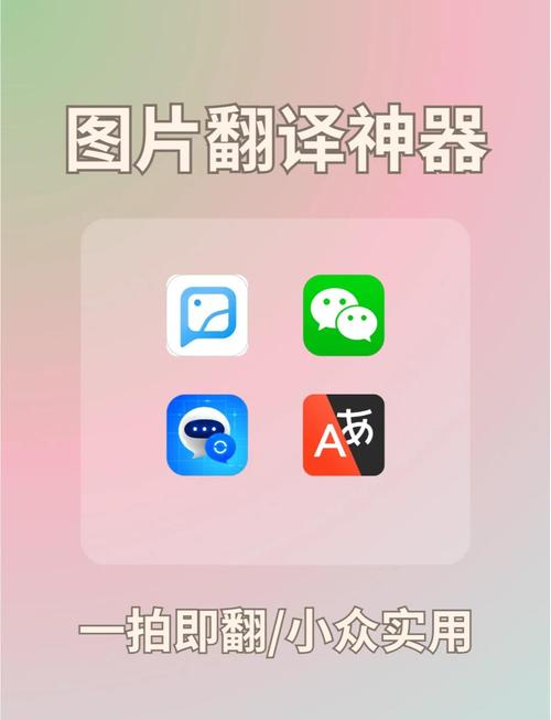 扫一扫翻译软件无广告