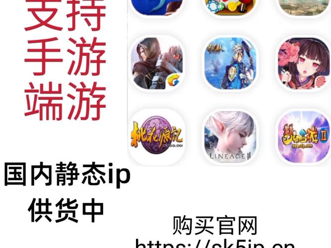 国内静态ip加速器图标