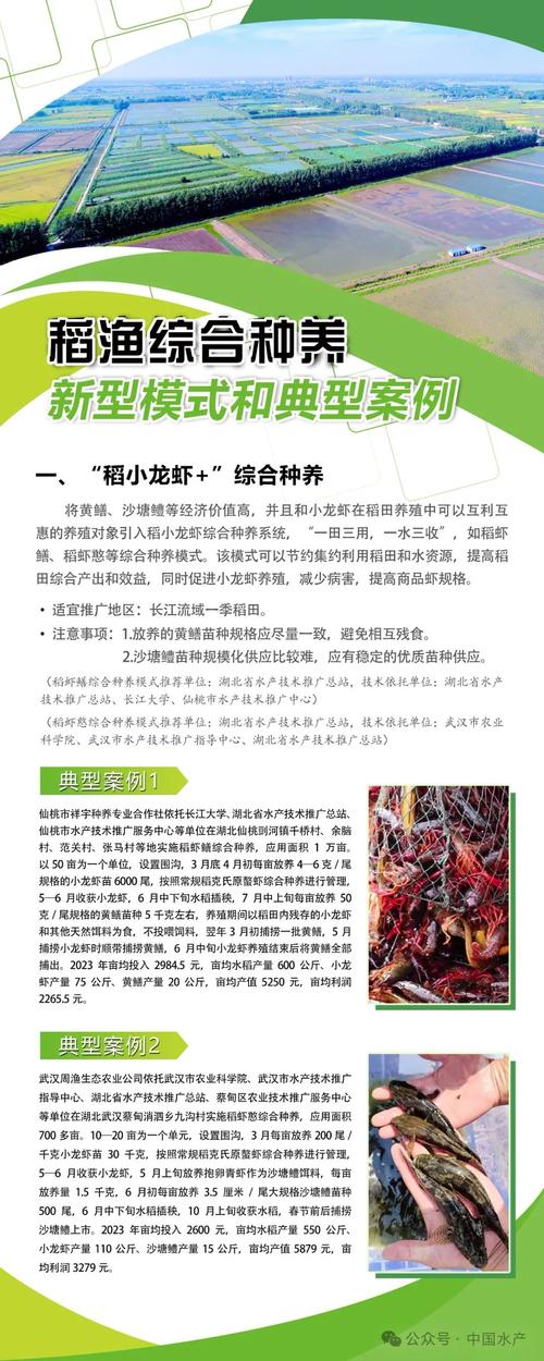 云养虾赚钱图标