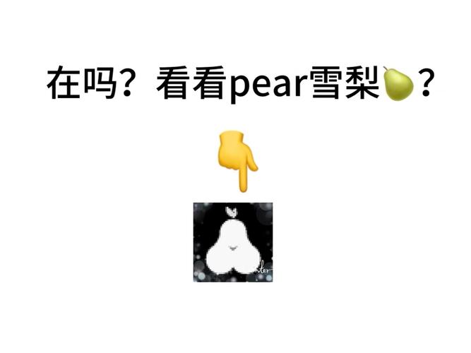 不梨聊天截图
