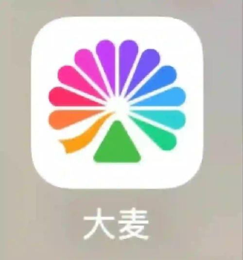 抢麦2024年免费安装图标