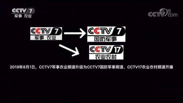 辽宁电视台官网黑色免费最新版