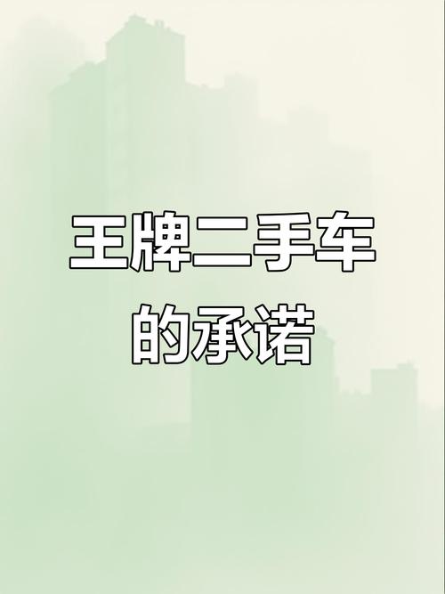 王牌二手车赚钱版截图