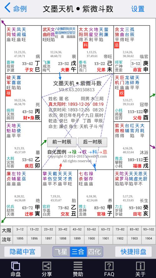 文墨天机紫微排盘怎么看图标