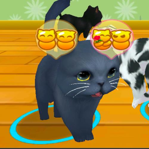 晴天小猫-晴天小猫官方版下载图标