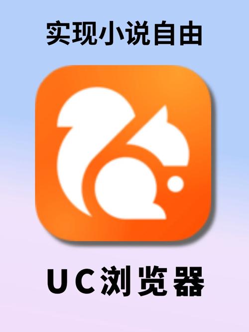 UC浏览器大字版老板本破解版无限vip