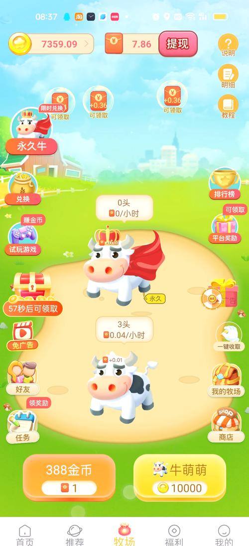 金竹网赚钱版