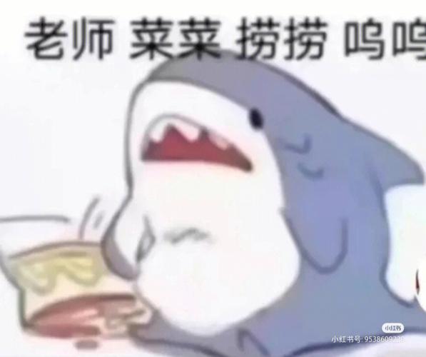 求老师捞捞的金句图标
