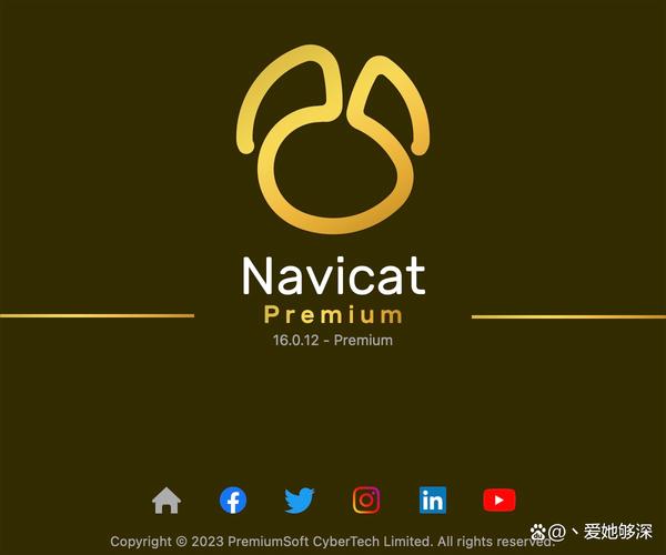 navicat安装图标