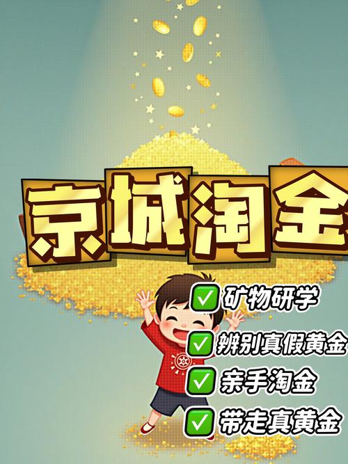 淘金号视频APP官方版截图