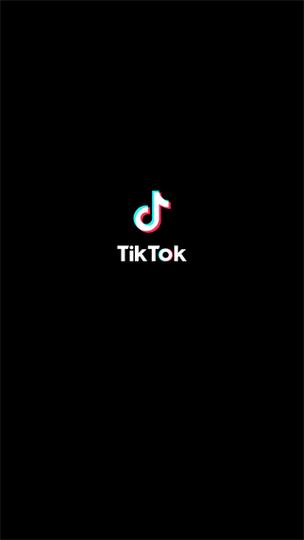 tiktok色板免费下载入口